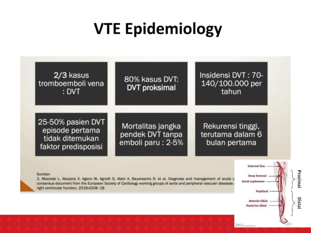 VTE assessment and prophylaxis.ppt