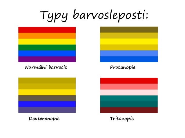 Věřte – nevěřte svým očím #scichallenge2017