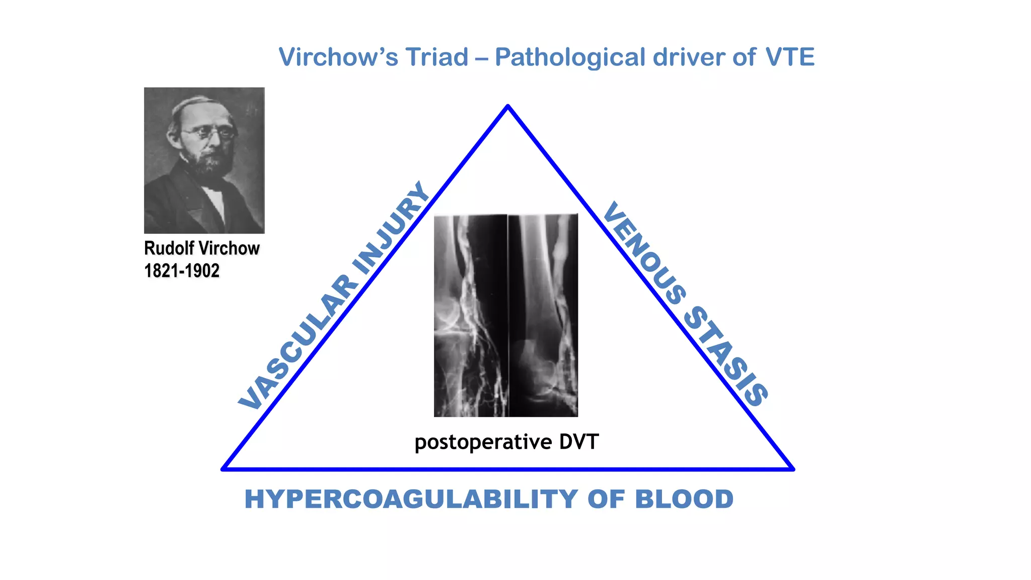 Venous Thromboembolism and Pregnancy | PDF | Pregnancy | Reproductive ...