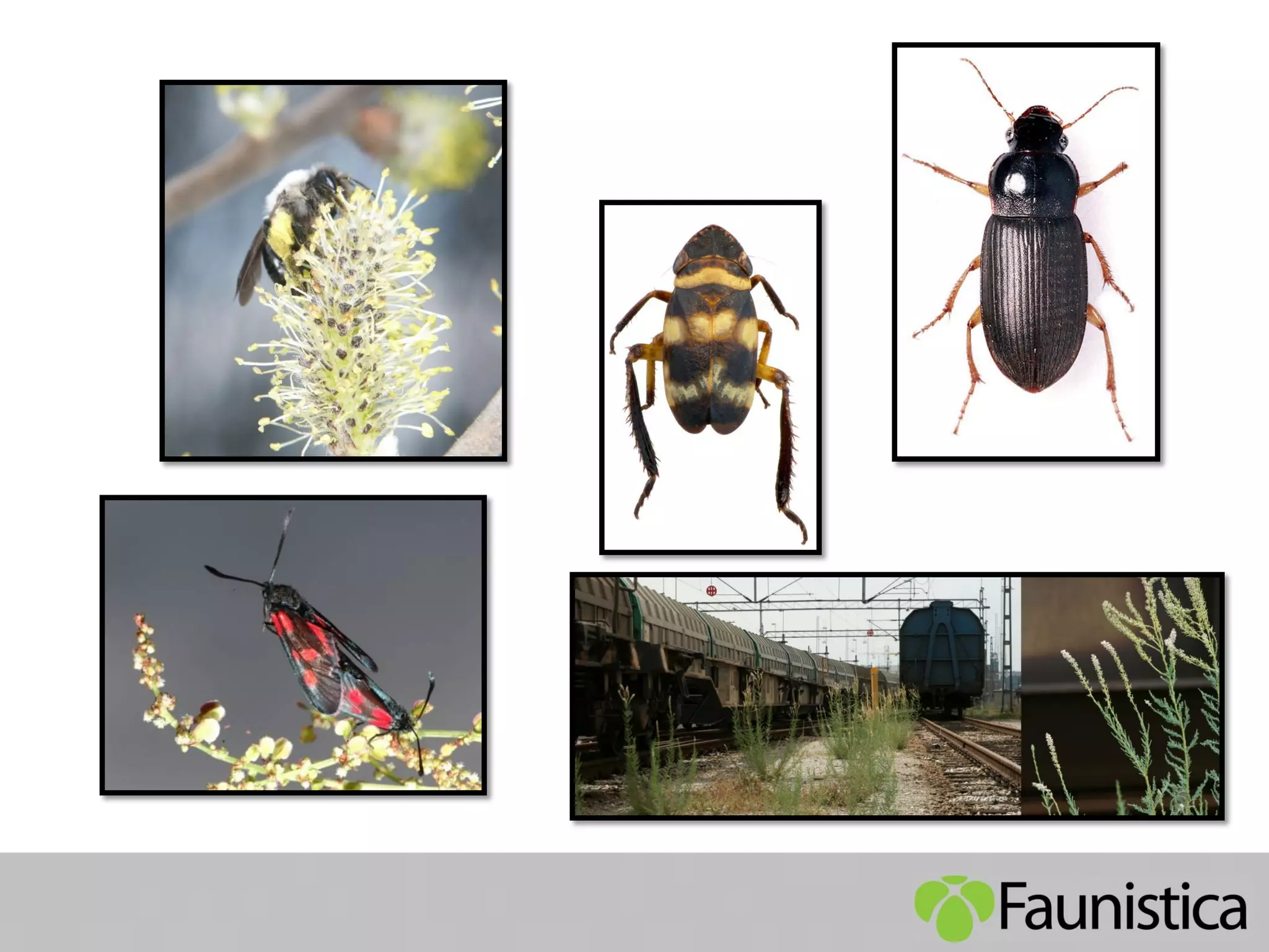 Session 63 Magnus Stenmark | PDF