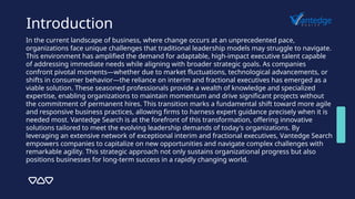 Fractional & Interim Executive Leadership | Vantedge Search | PPTX ...