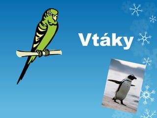 Vtáky | PPTX