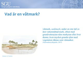 Våtmarker och grundvattenbildning - Peter Dahlqvist | PDF