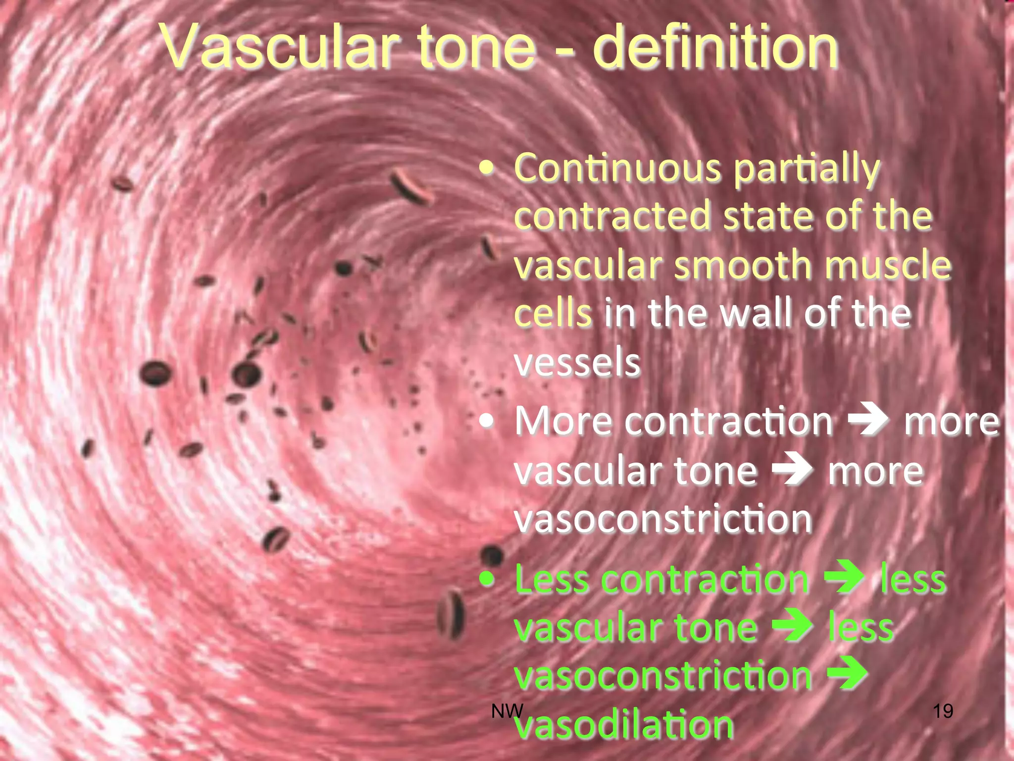 Vascular tone and tissue perfusion | PDF