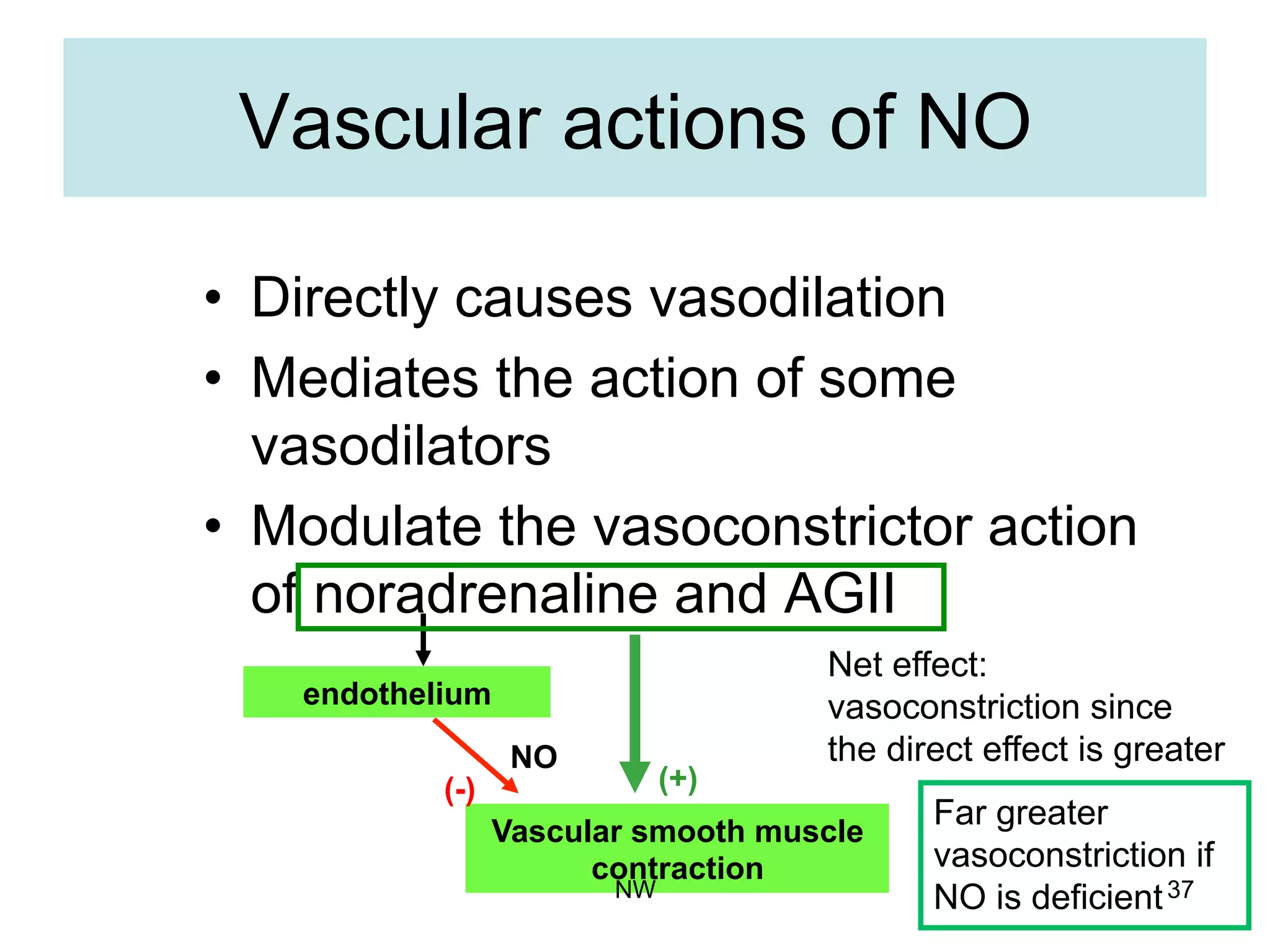 Vascular tone and tissue perfusion | PDF