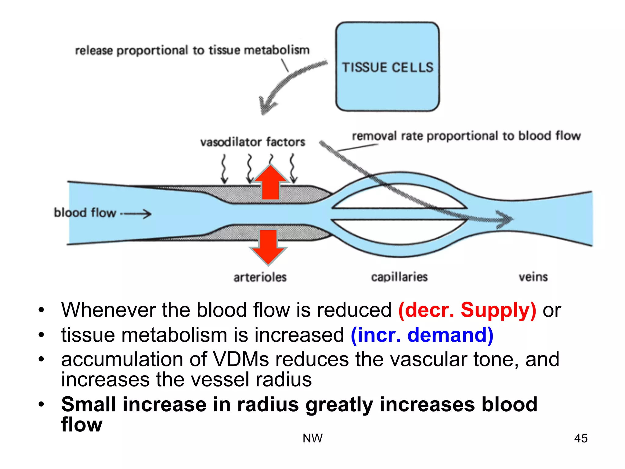 Vascular tone and tissue perfusion | PDF