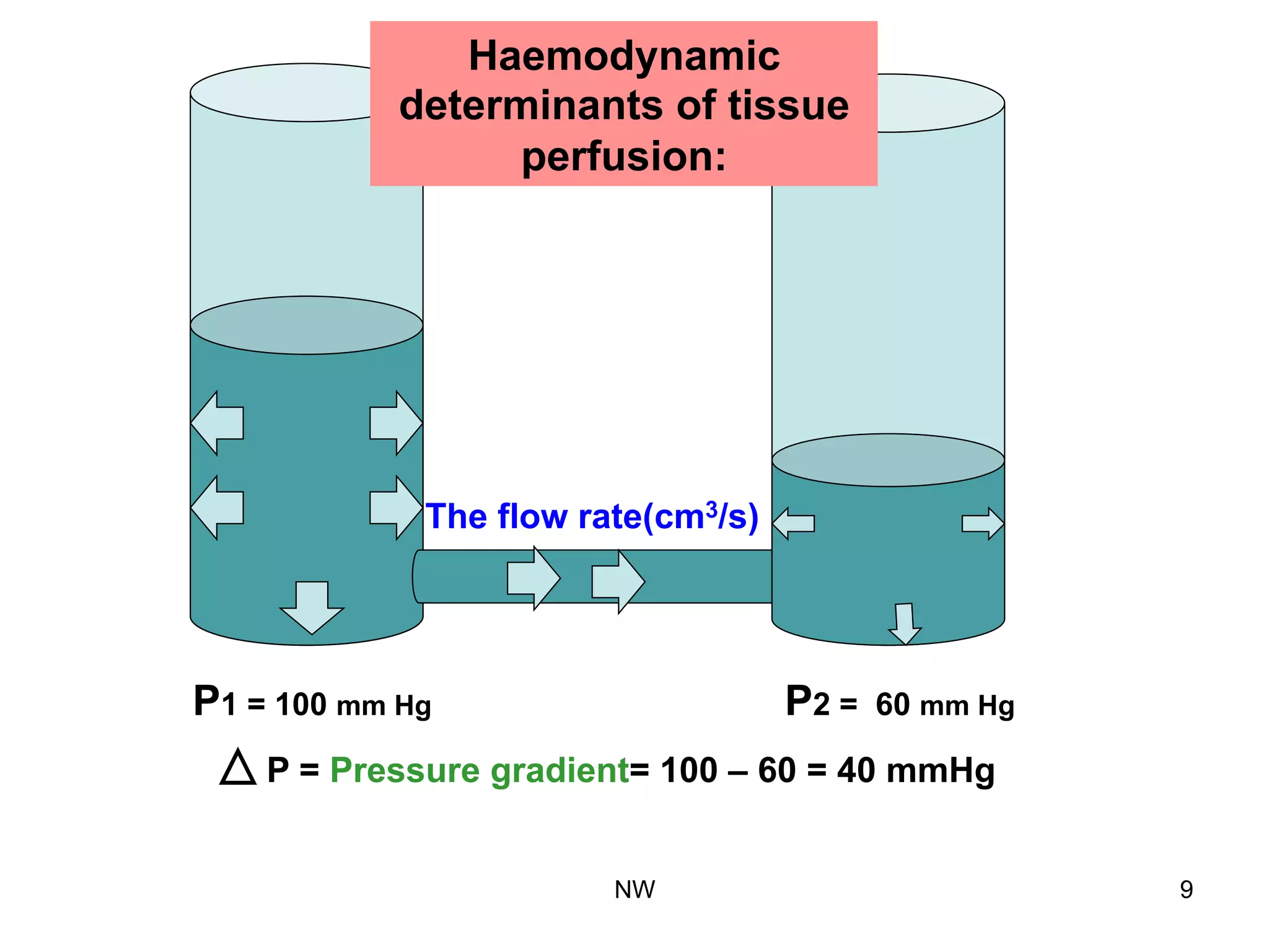 Vascular tone and tissue perfusion | PDF