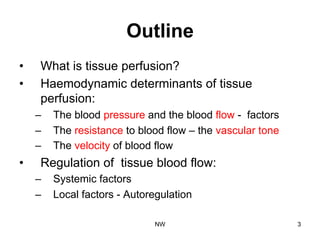 Profusion Definition