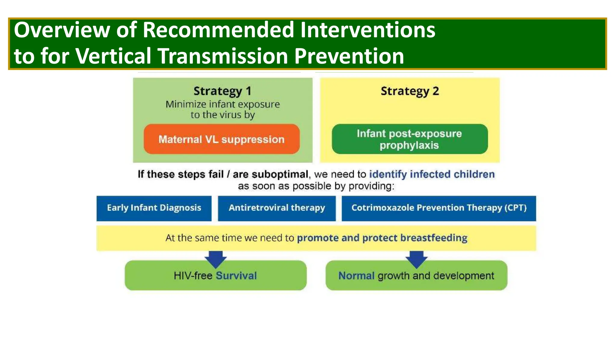 Vertical transmission prevention for HIV | PPT
