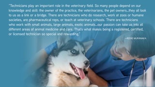 Veterinary Technicians Love Their Jobs | PPT