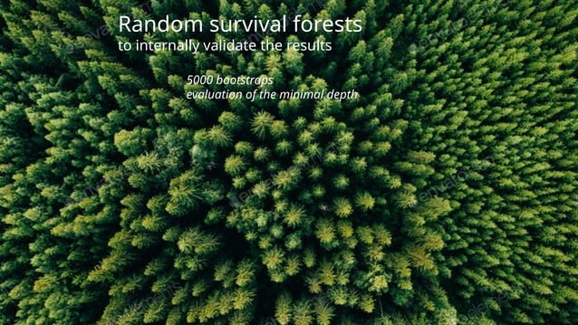 The VT score - stratification of recurrence and mortality after ...