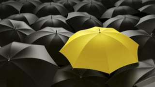 The VT score - stratification of recurrence and mortality after ...