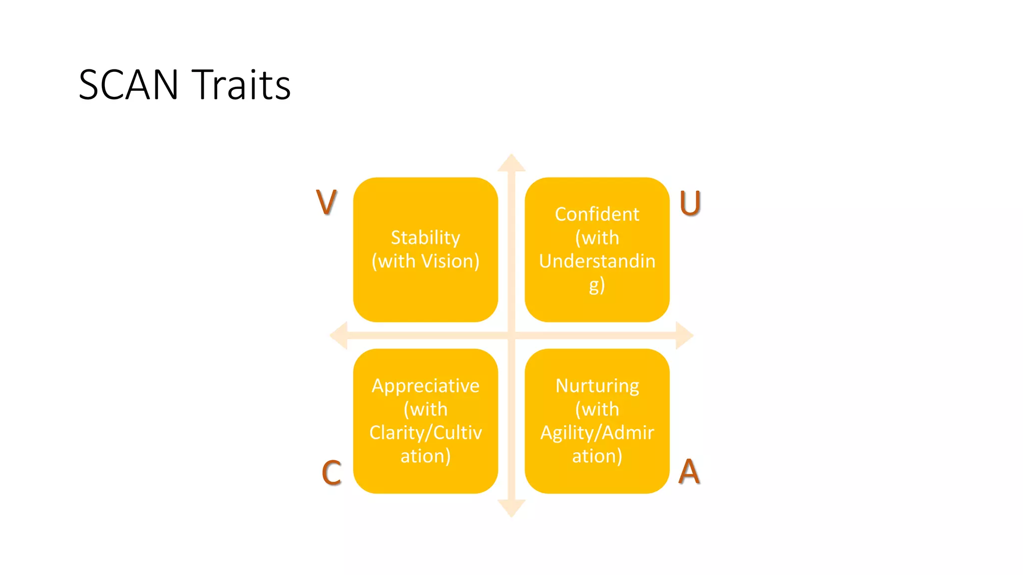 Principles of Leadership for the VUCA World | PDF