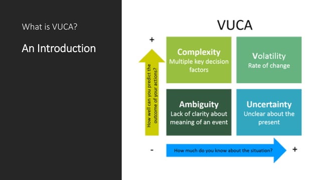 Principles of Leadership for the VUCA World | PDF | Business | Business ...
