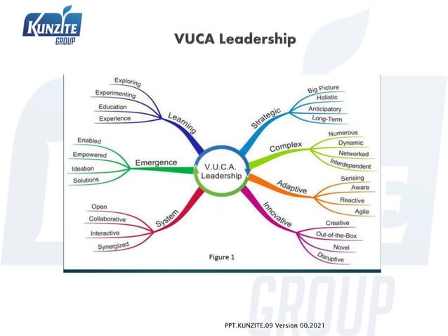 Vuca world | PDF