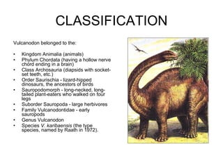 Vulcanodon | PPT