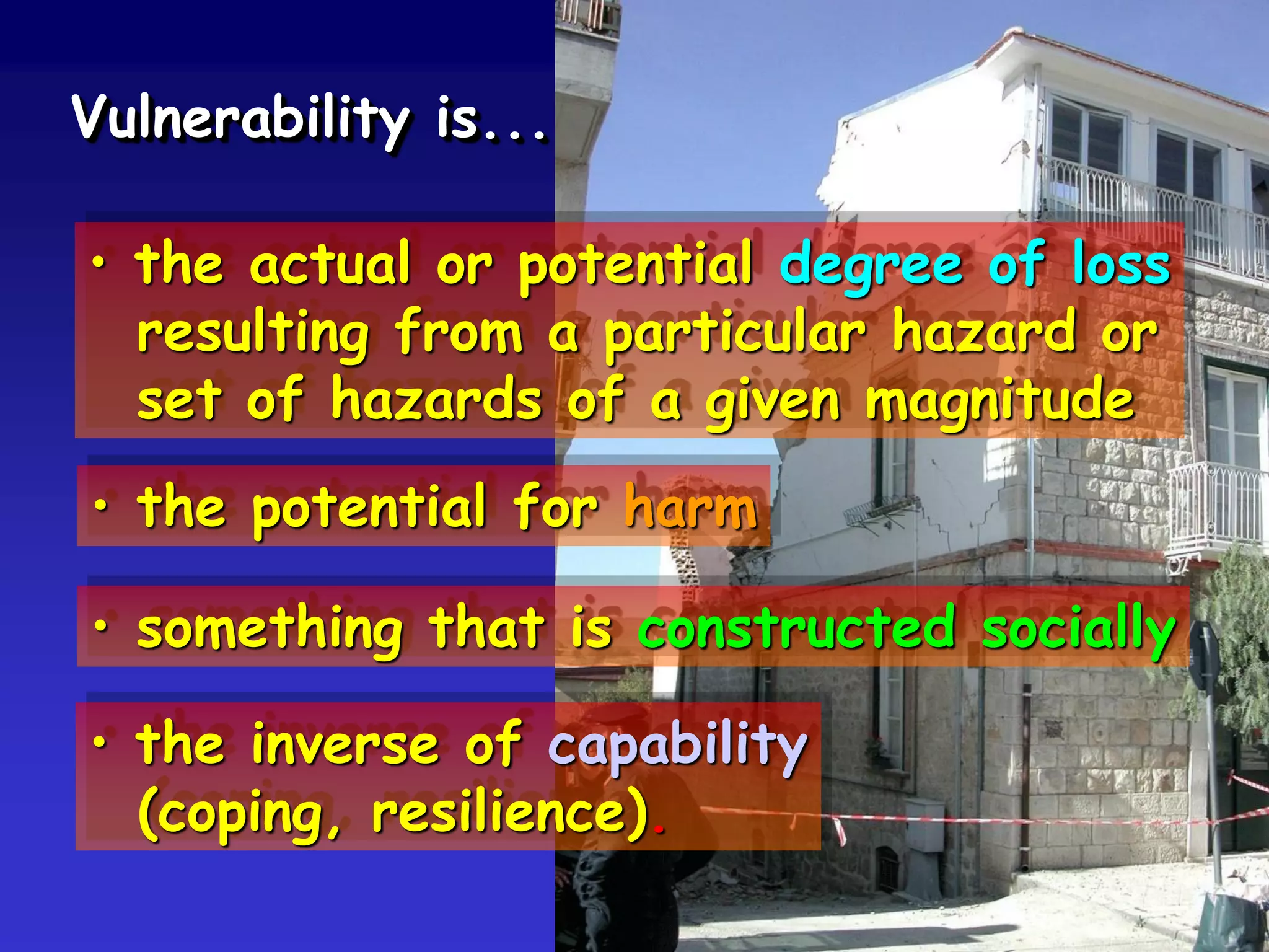 Vulnerability to Disasters | PDF | Business | Business and Finance