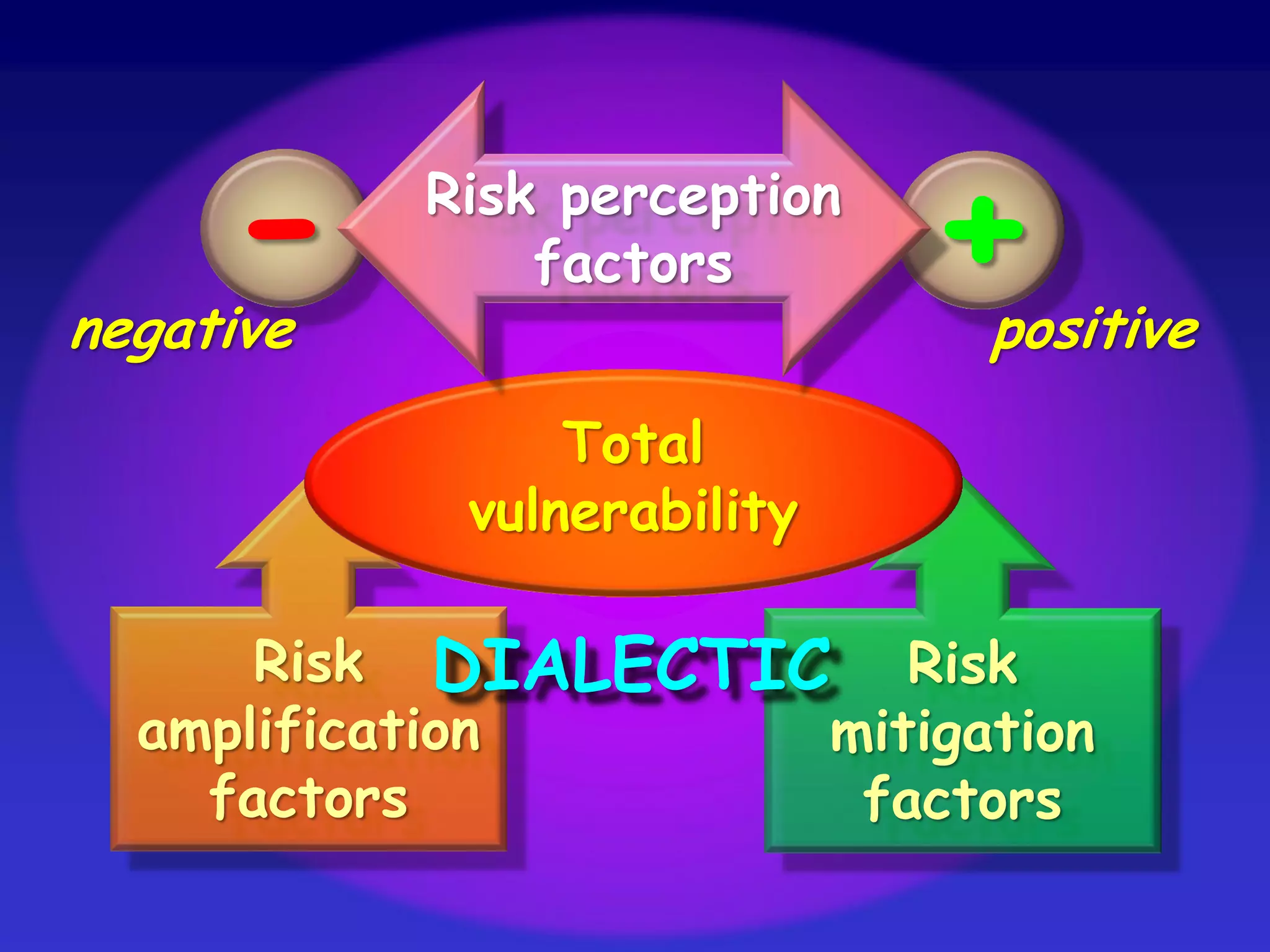Vulnerability to Disasters | PDF