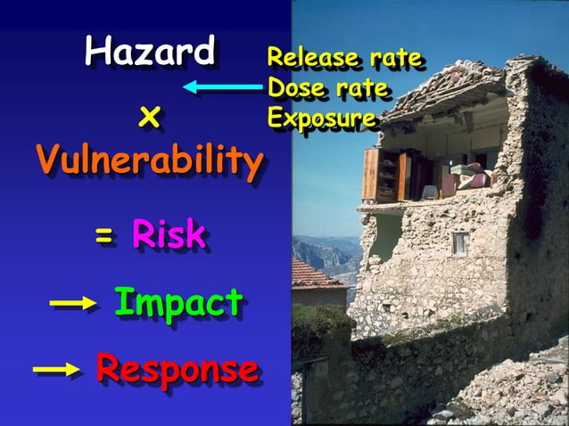 Vulnerability to Disasters | PDF | Business | Business and Finance