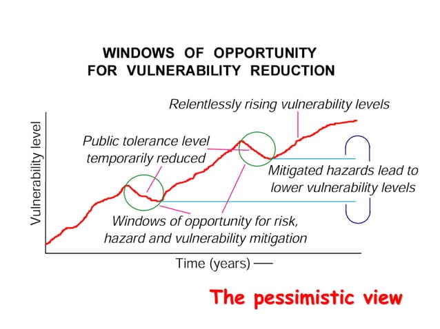 Vulnerability to Disasters | PDF | Business | Business and Finance