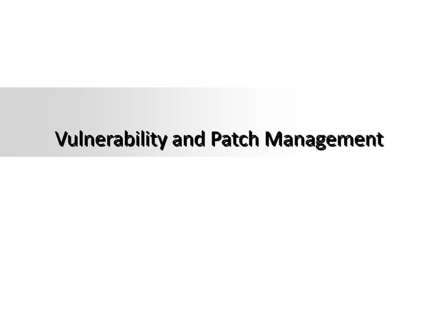 Vulnerability and Patch Management | PDF