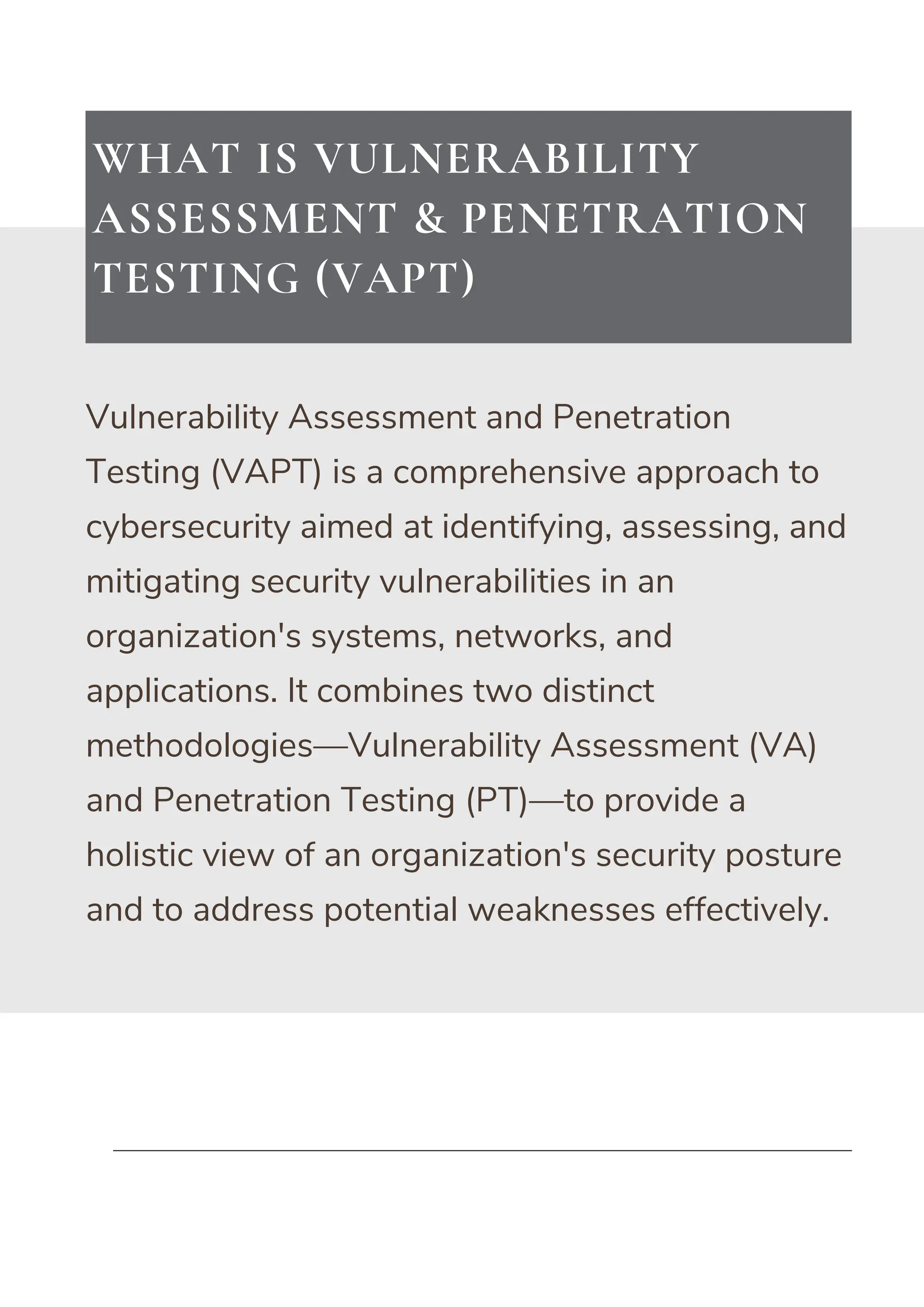 _Vulnerability Assessment & Penetration Testing (VAPT).pdf