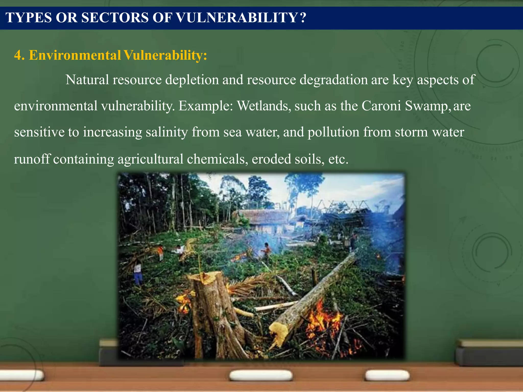 vulnerability in disaster.pptx