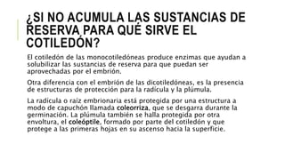 óVulo y embrión | PPTX