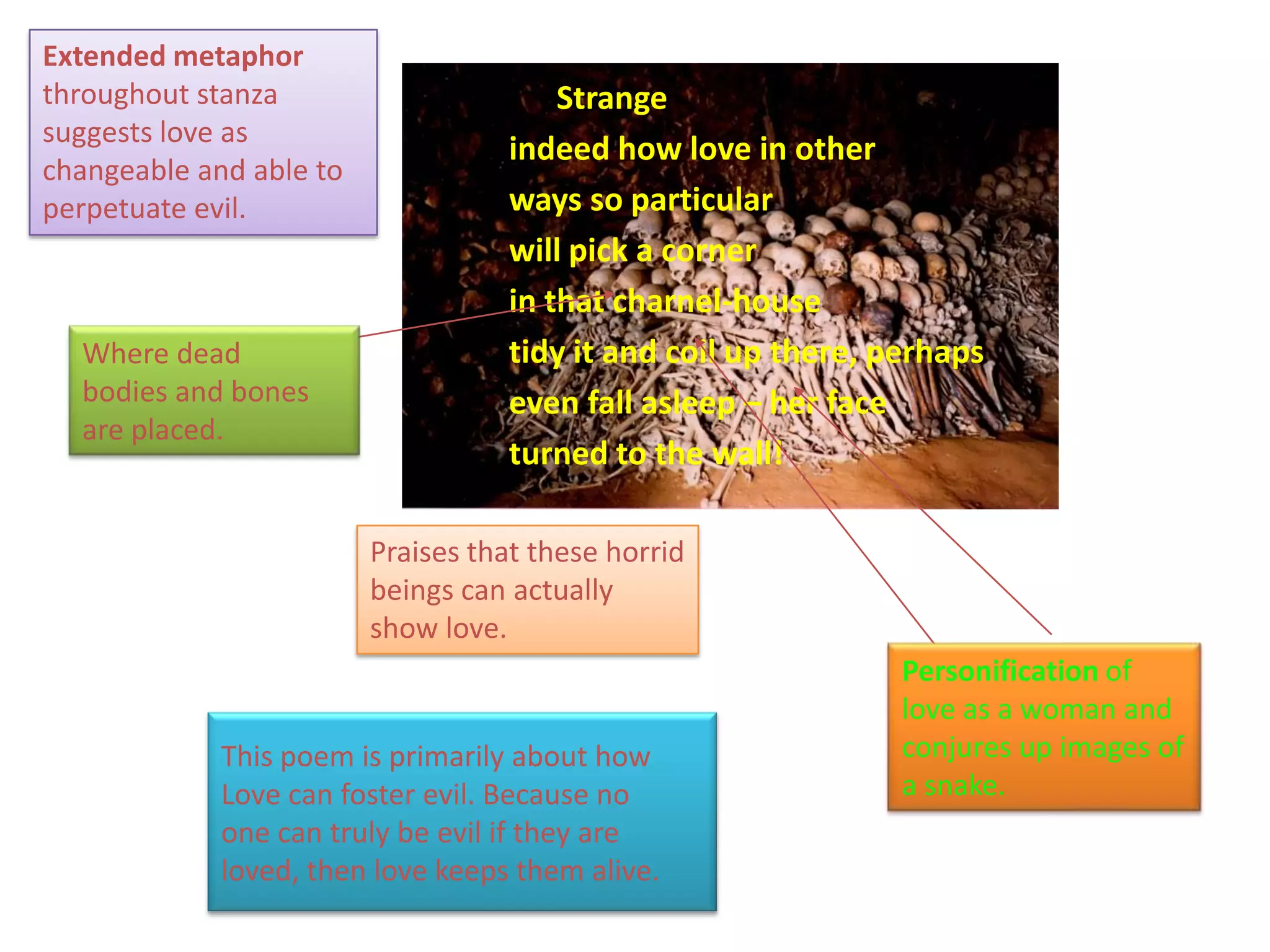 Poem "Vulture" by Chinua Achebe | PPTX