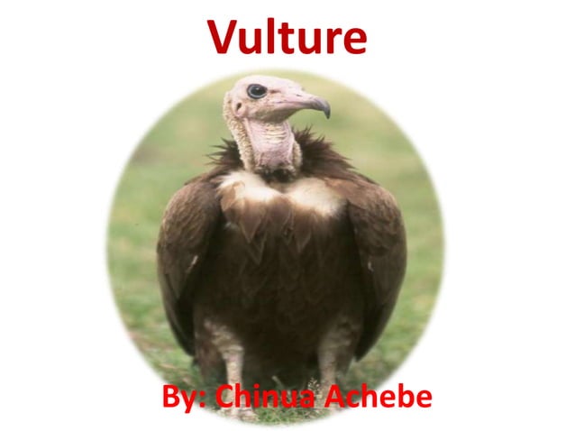 Poem "Vulture" by Chinua Achebe | PPTX