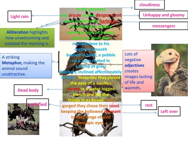 Poem "Vulture" by Chinua Achebe | PPTX