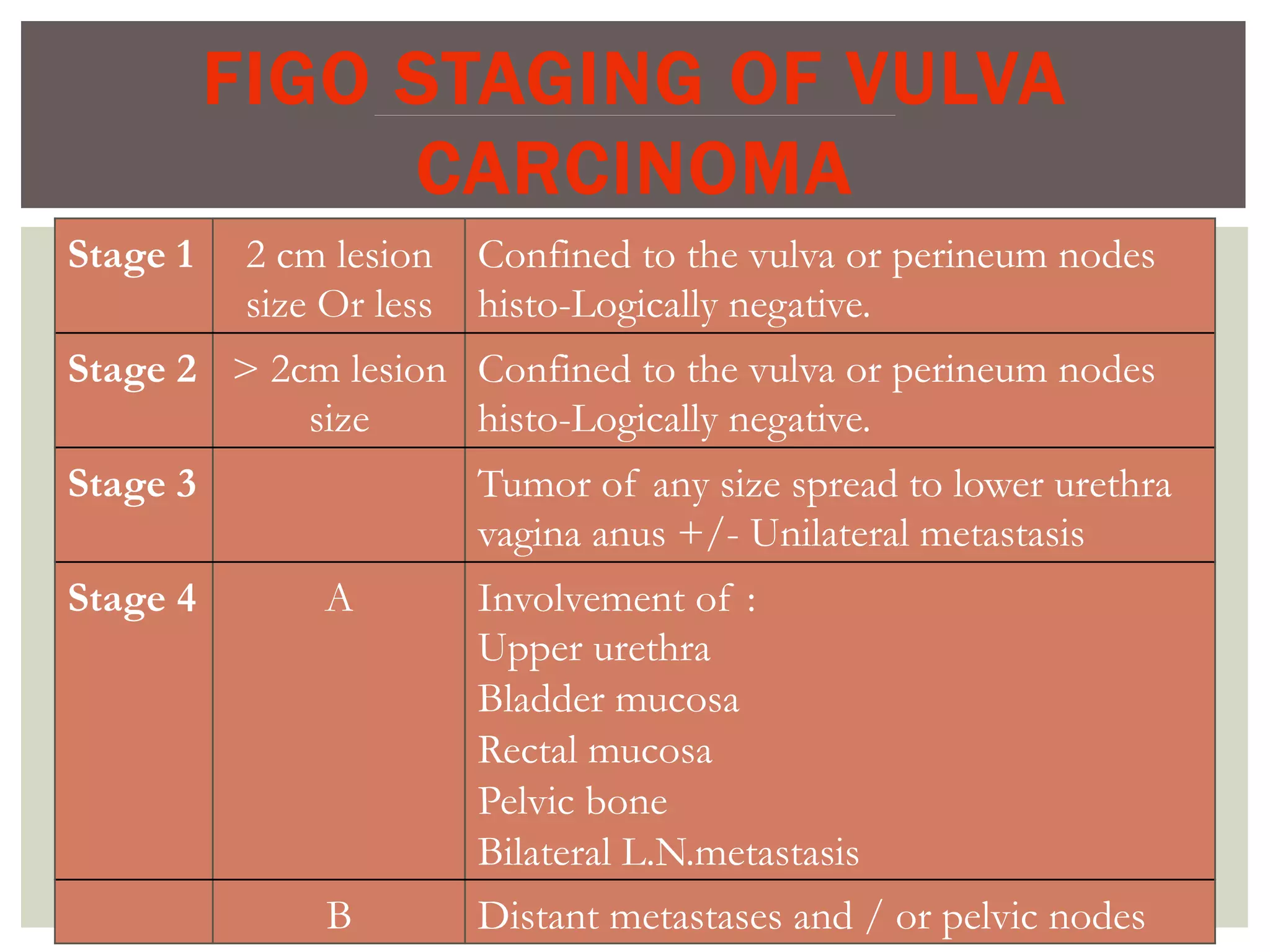 Vulva | PDF