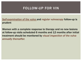 Vulva | PDF