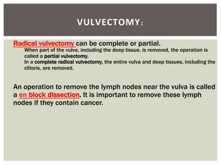 Vulva | PDF