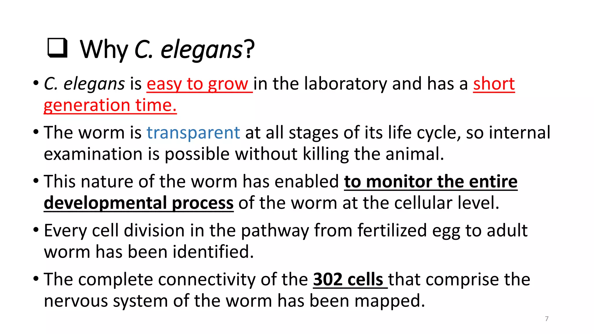 Vulva development - C.elegans | PPTX