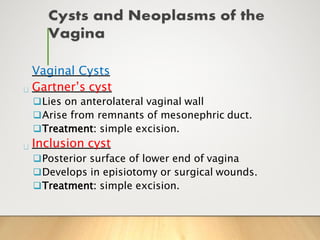 Gartner Duct Cyst Cts