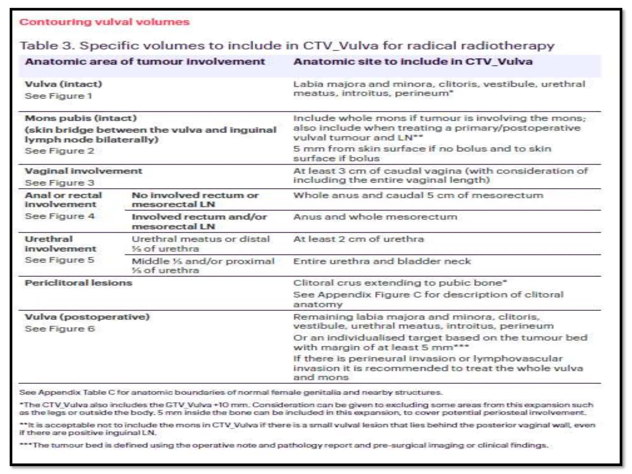 TARGET DELINEATION IN VULVAL CANCER BY DR KANHU | PPTX