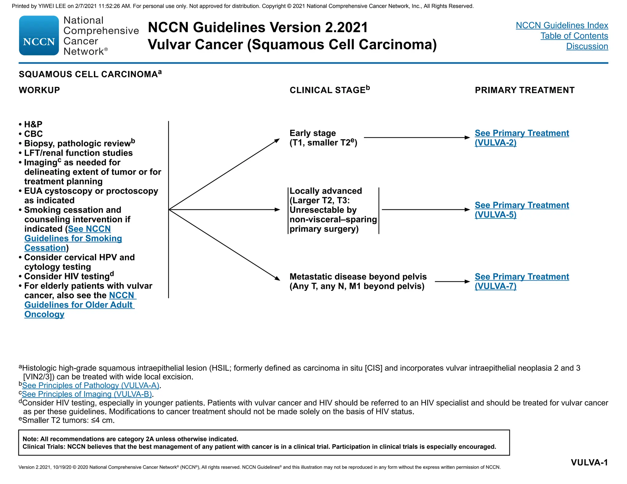 Vulvar Cancer （Squamous Cell Carcinoma）V.2 2021.pdf
