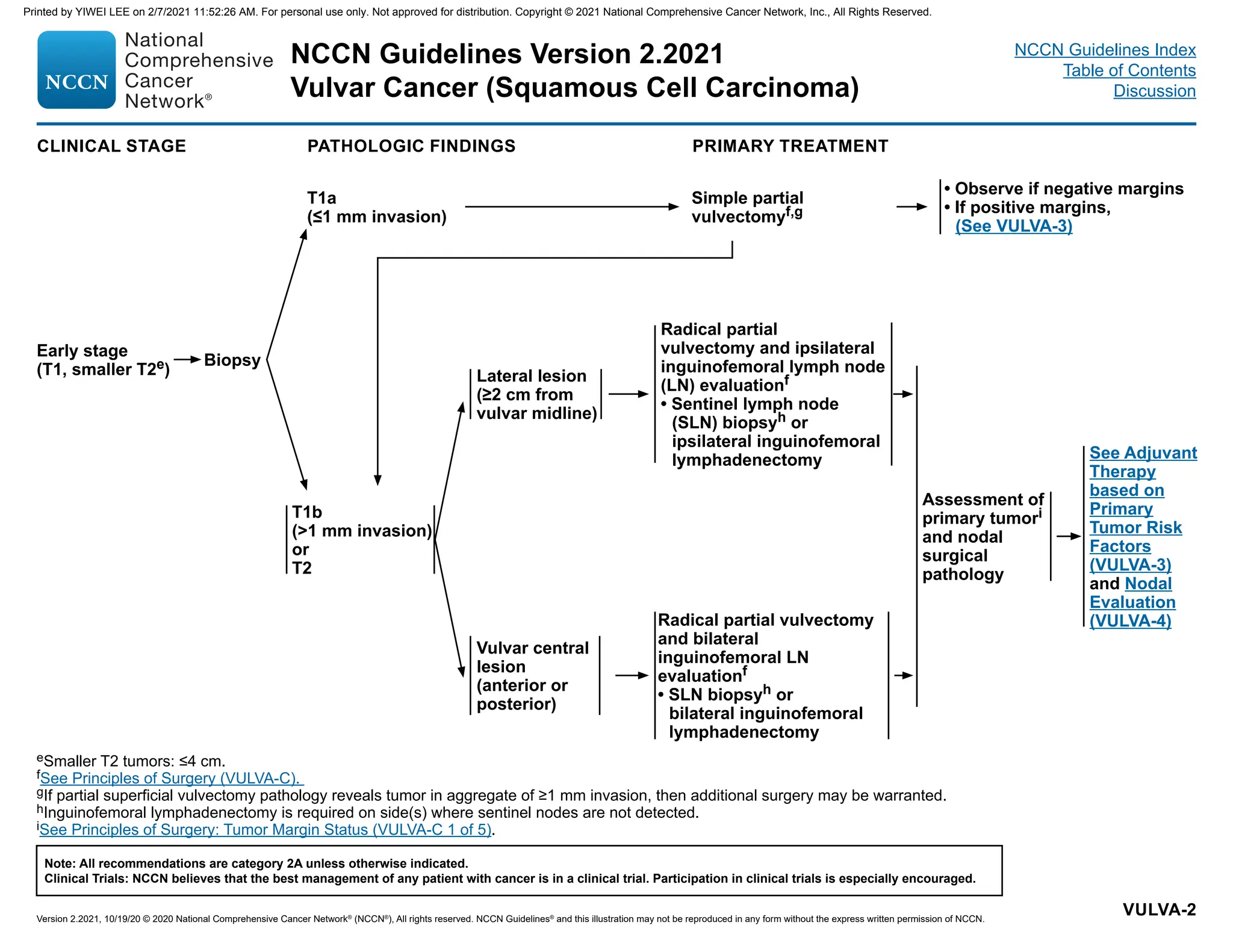 Vulvar Cancer （Squamous Cell Carcinoma）V.2 2021.pdf
