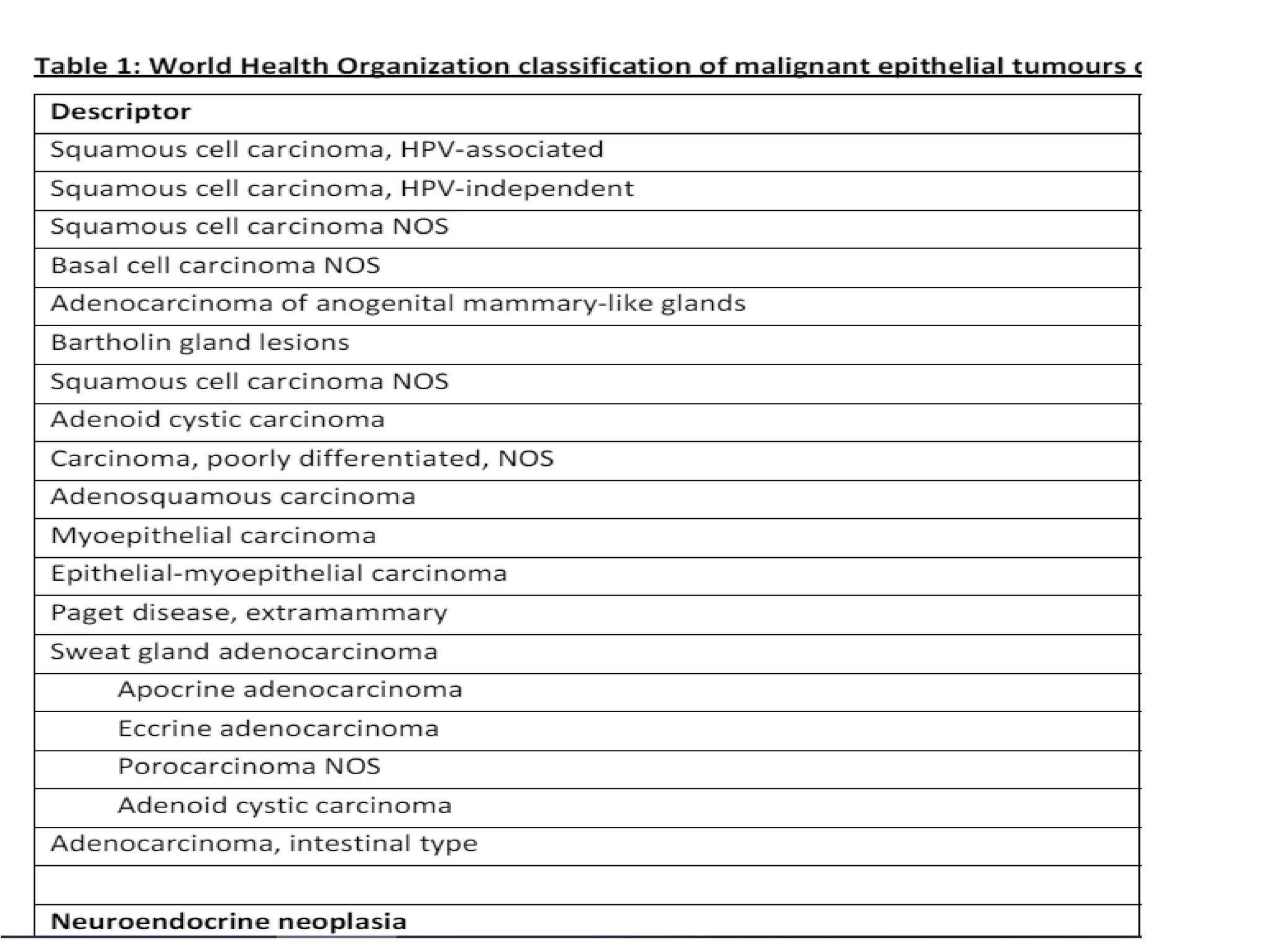 VULVAR CARCINOMA - staging and stagewise management Layers and Pouches ...