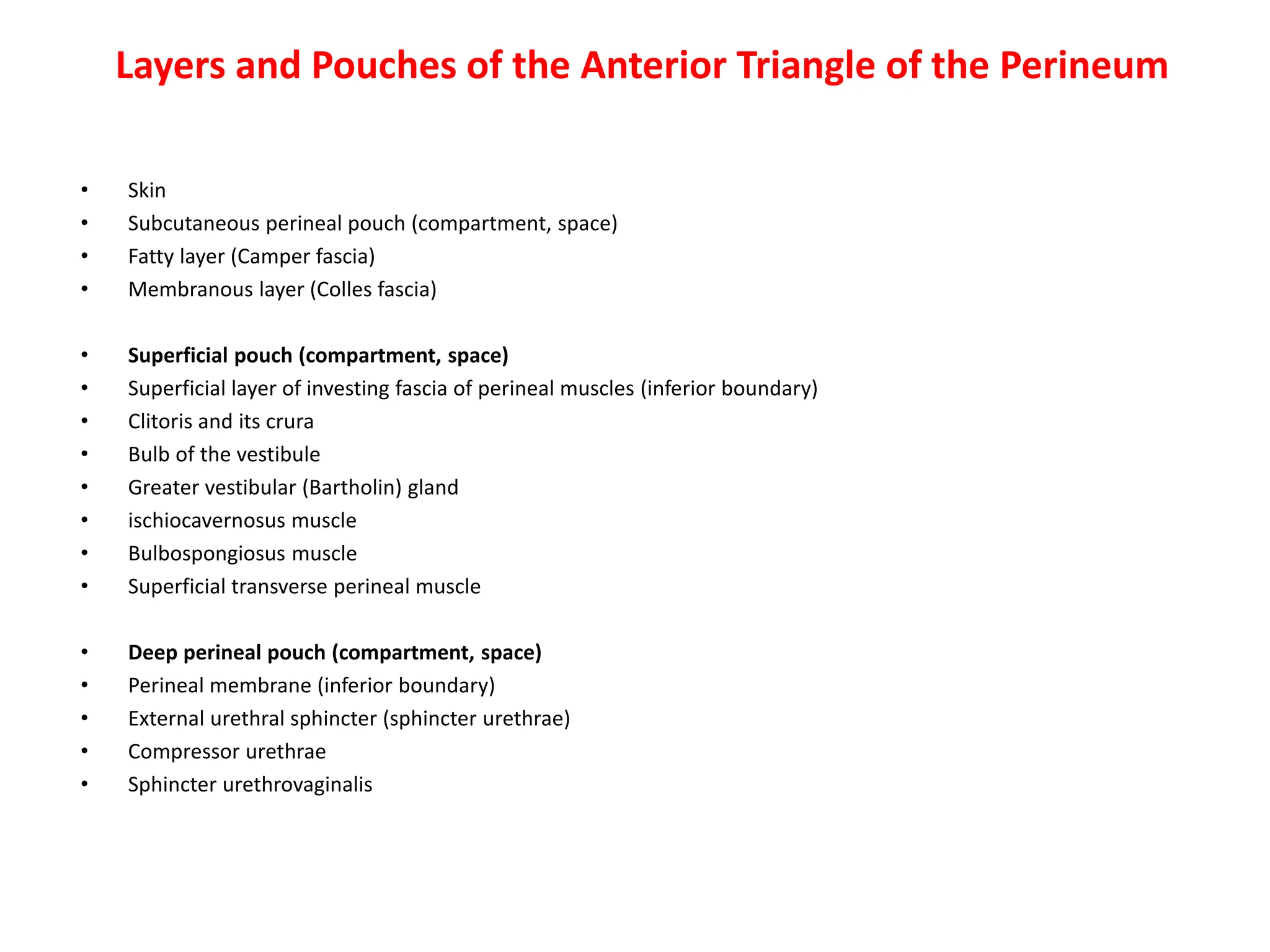 VULVAR CARCINOMA - staging and stagewise management Layers and Pouches ...