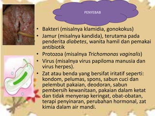 Vulvitis | PPTX