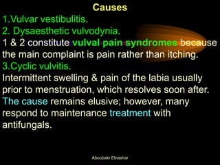 Vulvodynia | PDF
