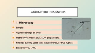 Vulvovaginal CANDIDIASIS.pptx medical presentation | PPTX
