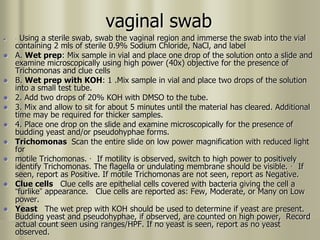 Vulvovaginal Infections in women of reproductive age | PPT | Sexual ...
