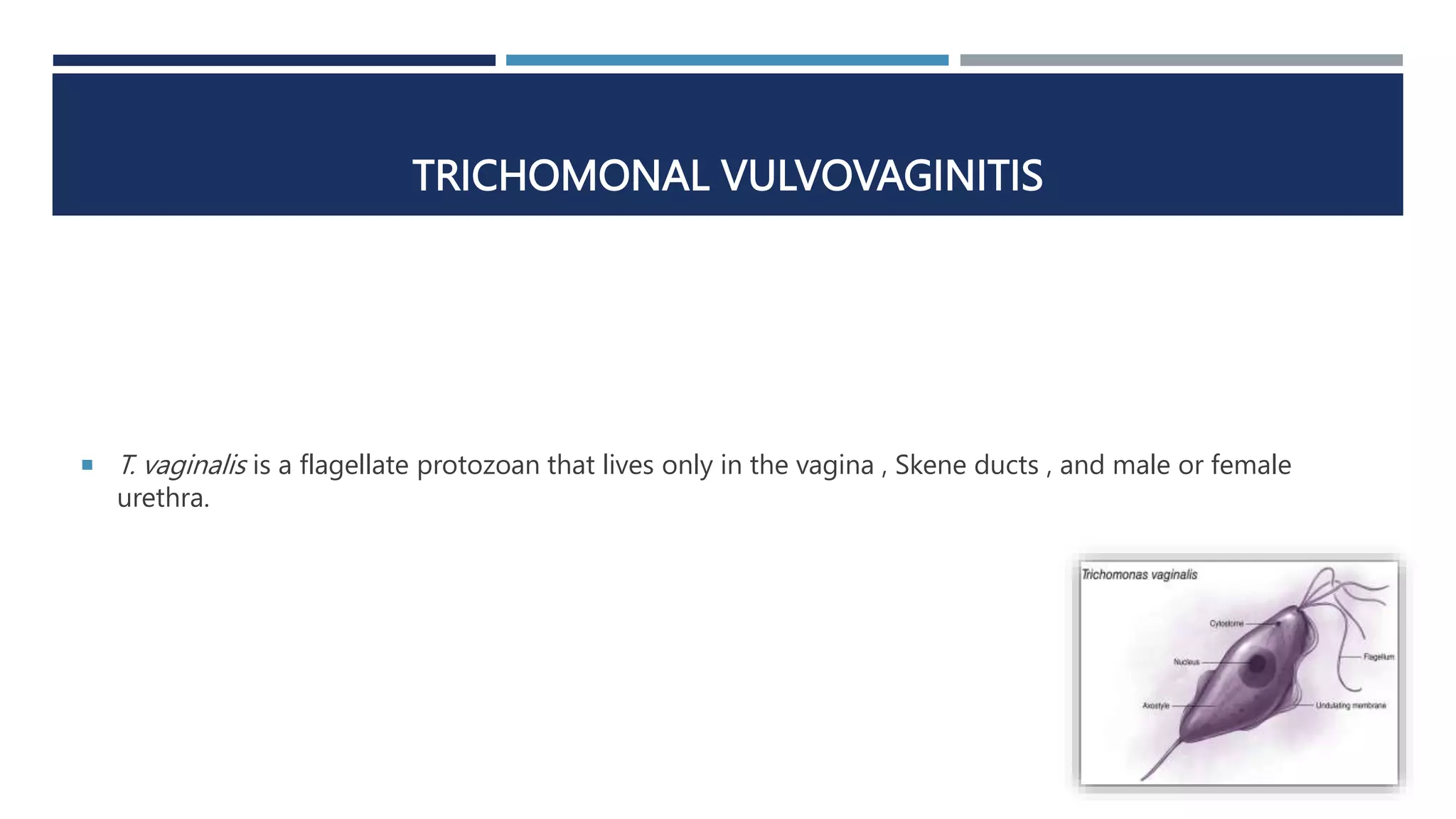 VULVOVAGINITIS - Presentation.pptx