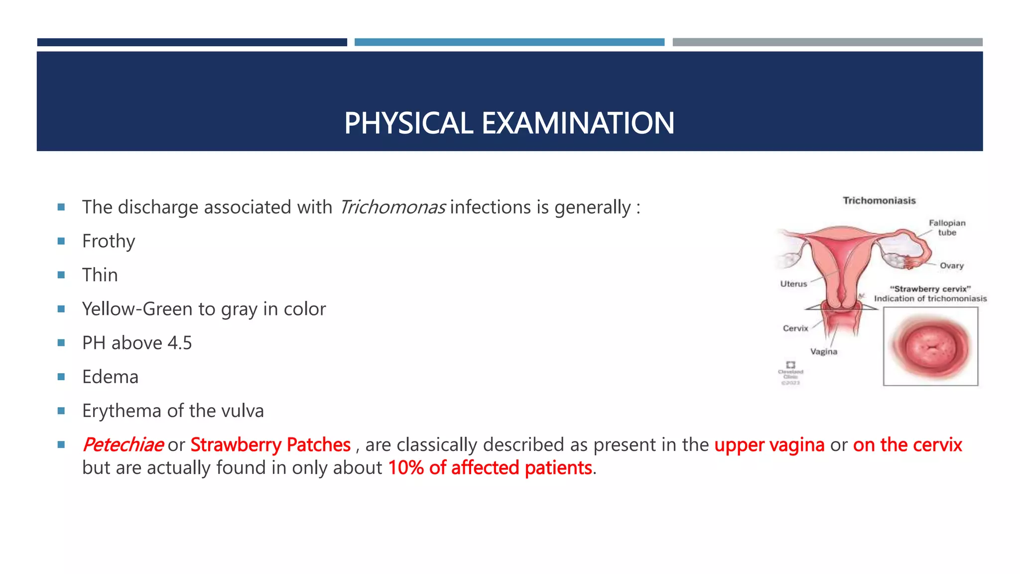 VULVOVAGINITIS - Presentation.pptx