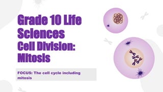 Life Sciences- Mitosis (By Vuma Listers) | PPTX | Biological Sciences ...