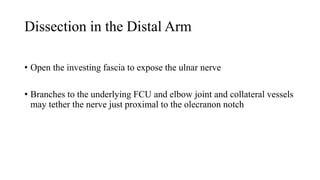 Vascularised Ulnar Nerve Graft | PPT
