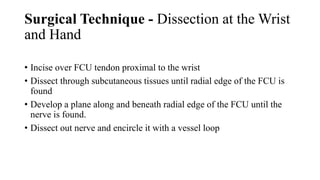 Vascularised Ulnar Nerve Graft | PPT